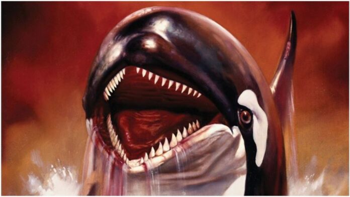 'Orca: The Killer Whale' Gets Scream Factory Blu-ray - HorrorGeekLife