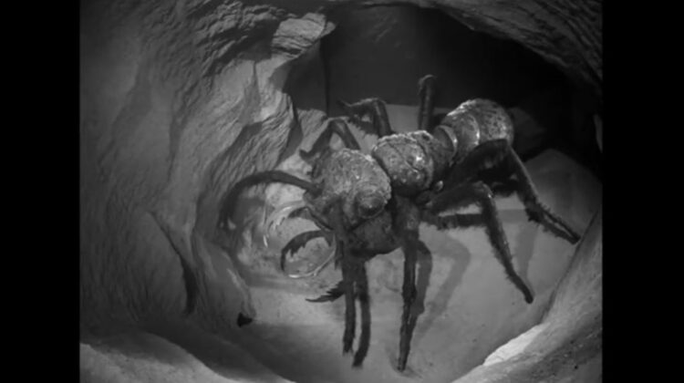 Eco-Horror Films: The Evolution of Animals in Revolt in Cinema ...