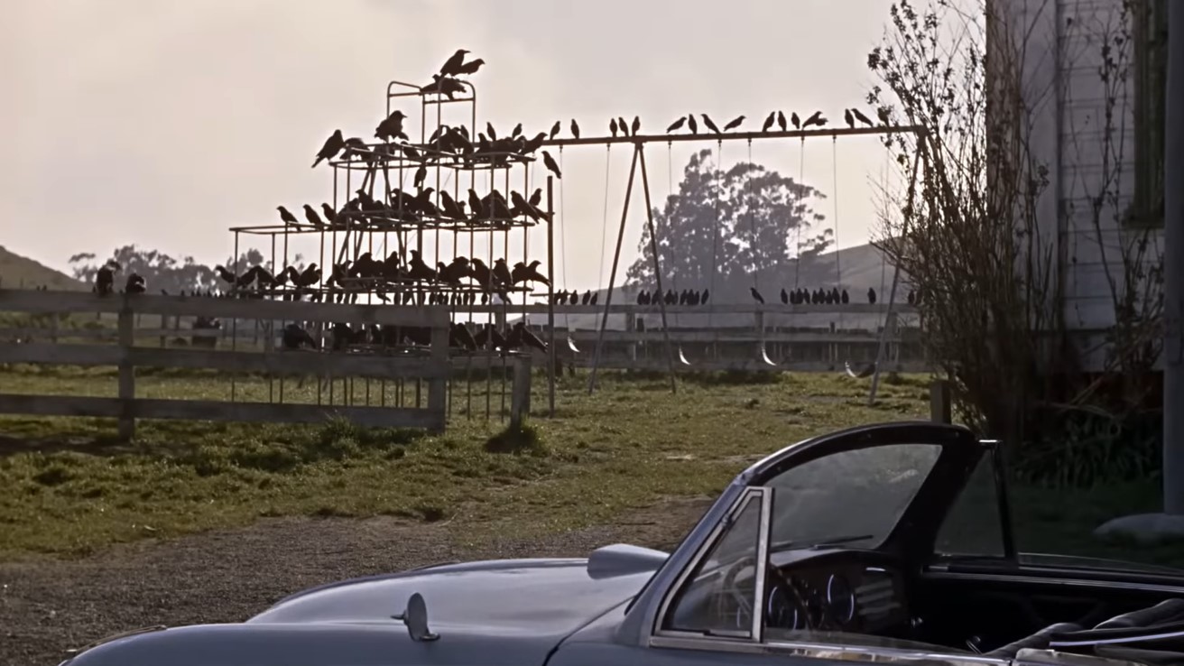 Why Alfred Hitchcock's 'The Birds' Is a Slow-Burn Masterpiece ...