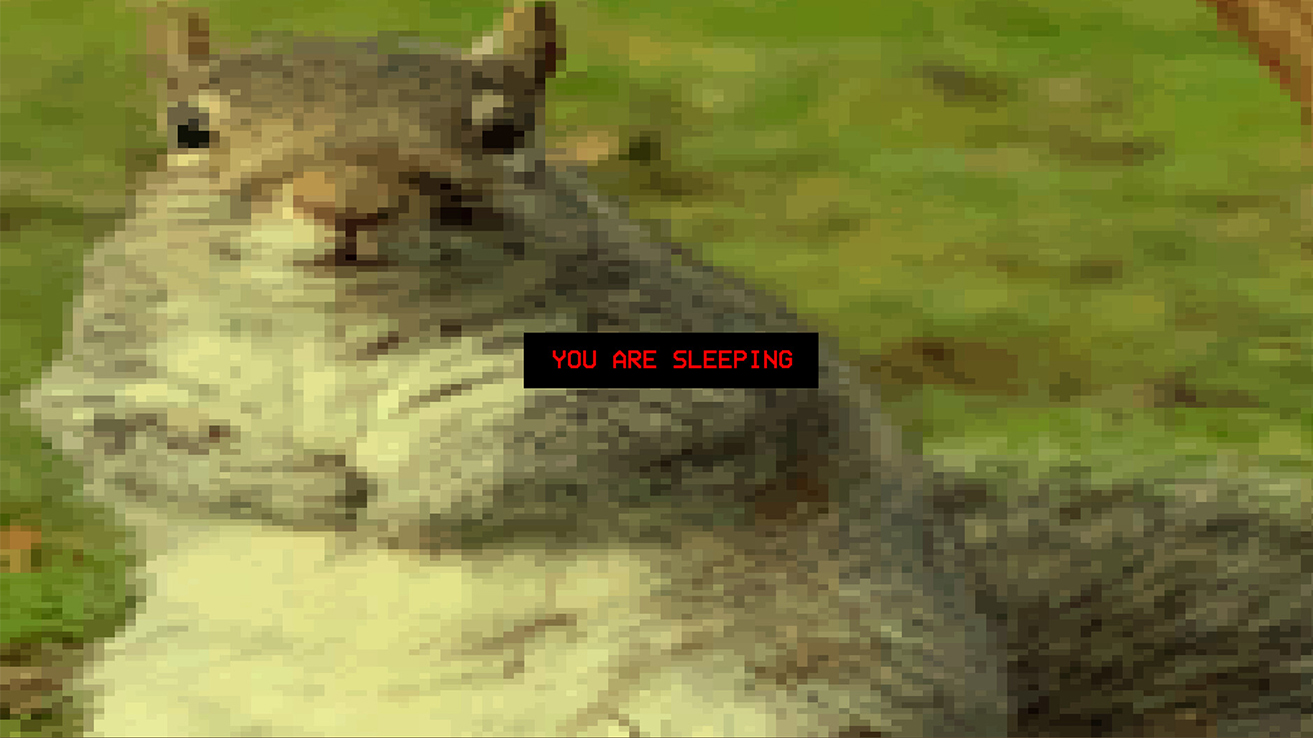 'Squirrel Stapler' Game Review: Absurd Horror Meets Hunting Simulator ...